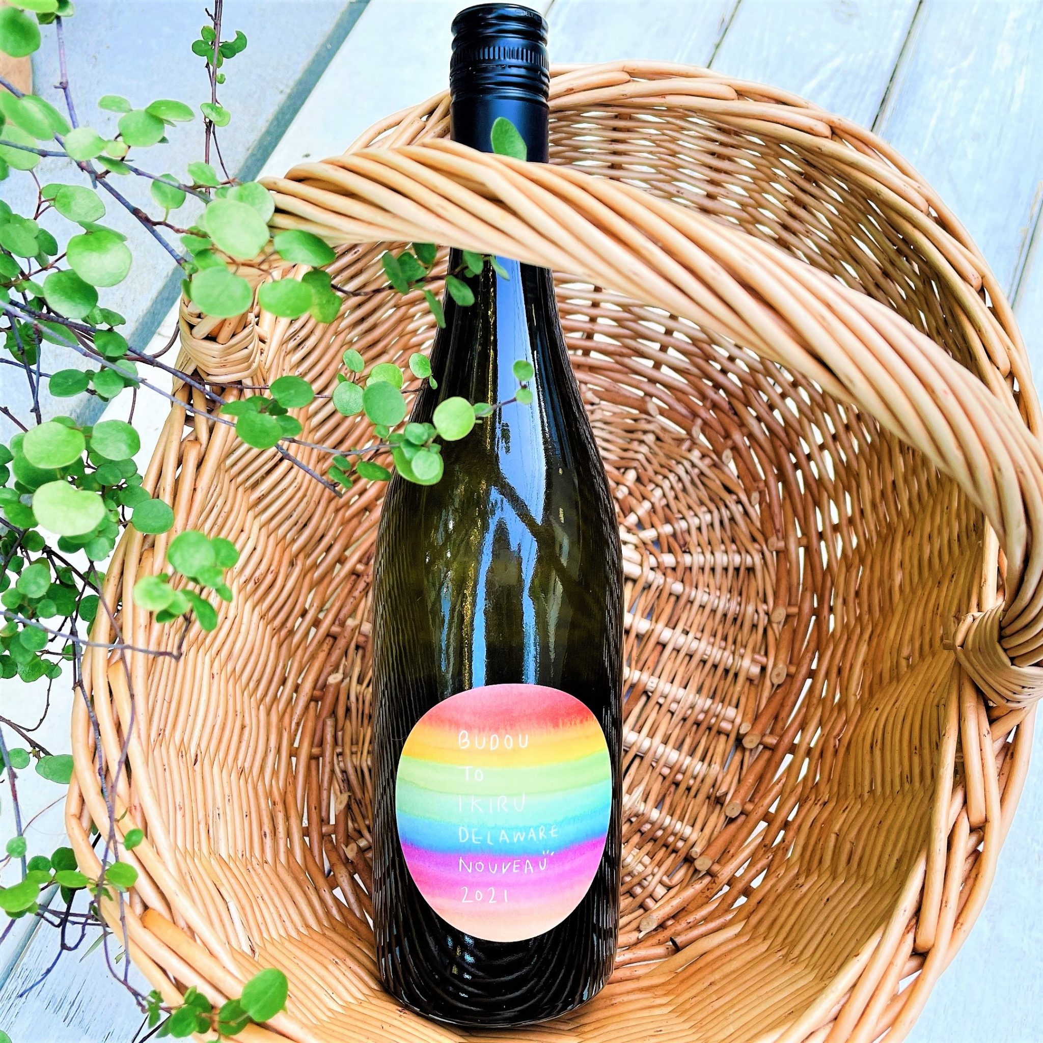 入荷 フジマル醸造所(大阪/東京)！ – VINSY