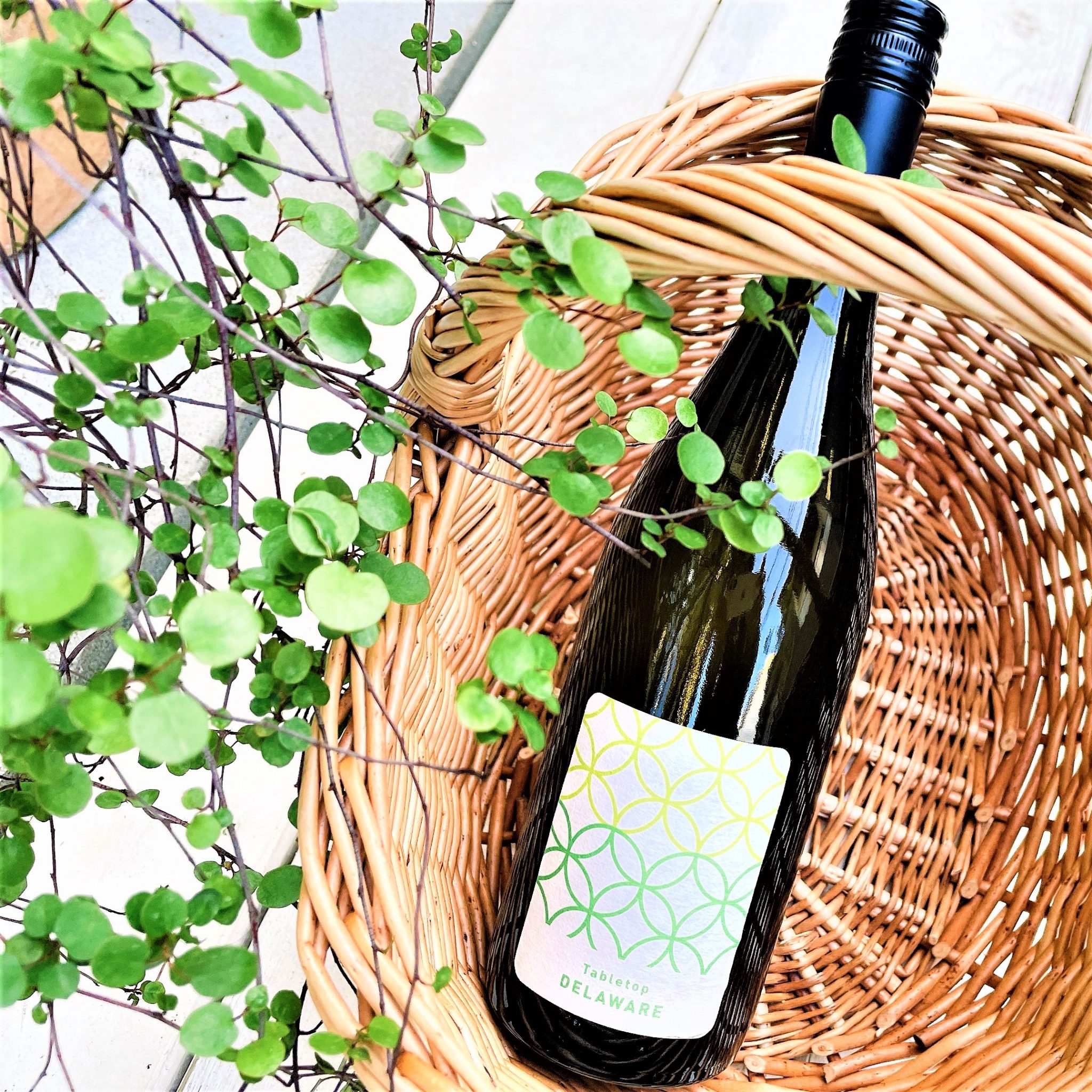 入荷 フジマル醸造所(大阪/東京)！ – VINSY