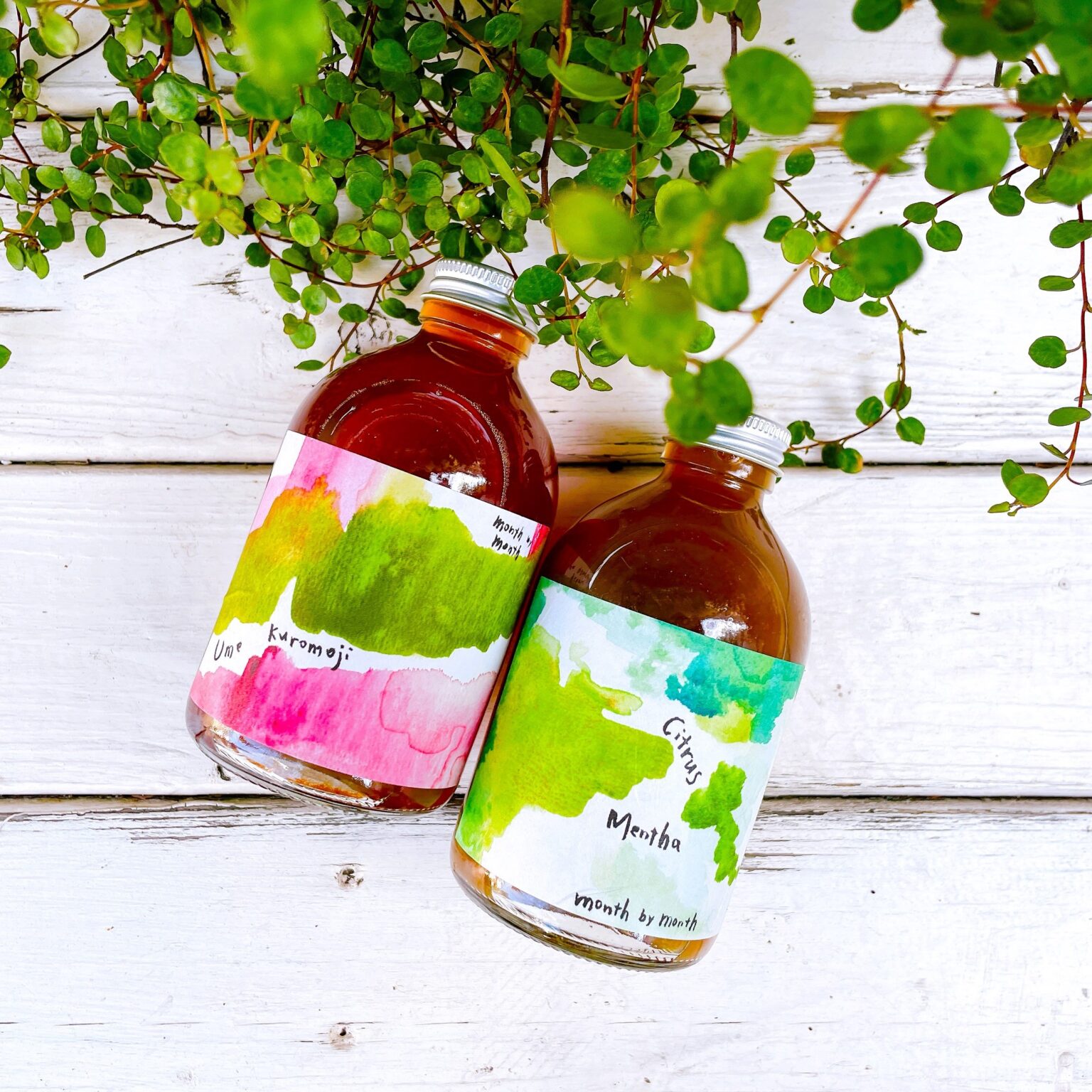 初入荷 ノンアルコールドリンク♥ – VINSY